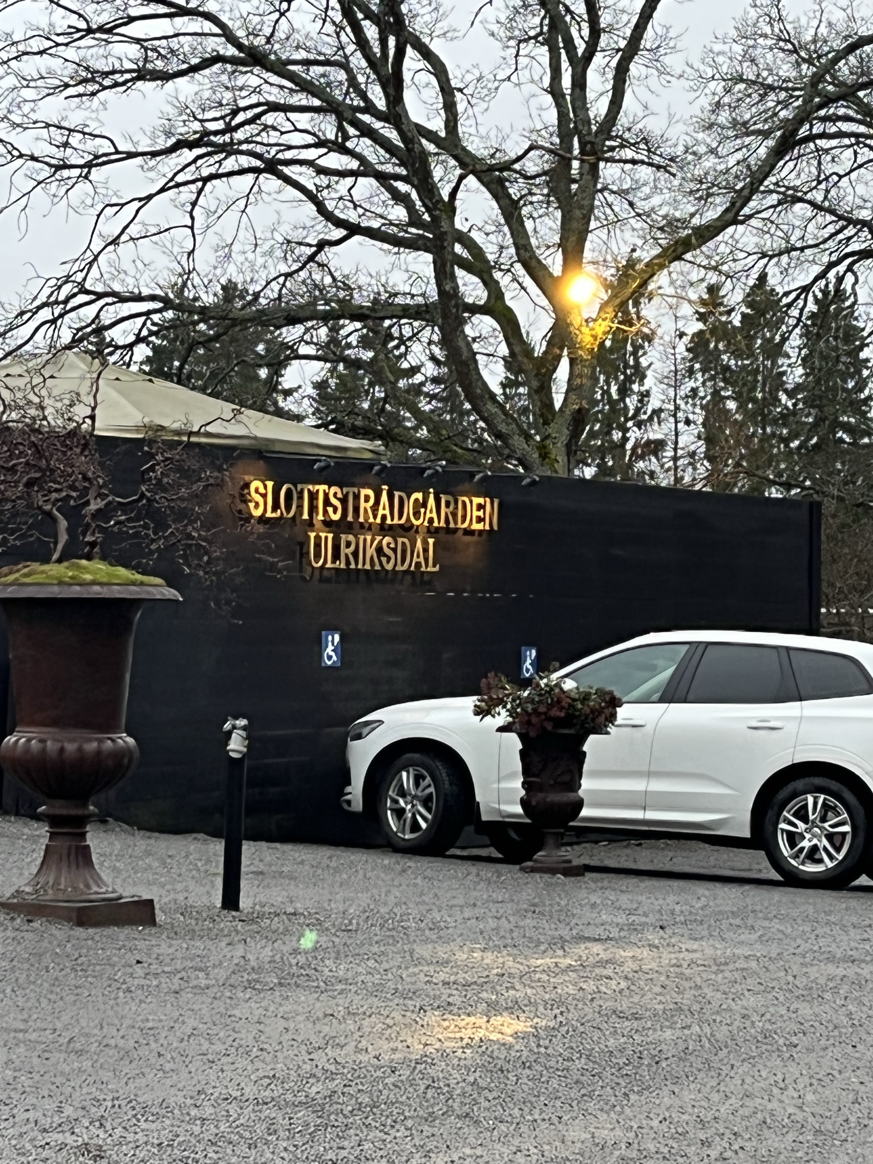 Ulriksdals slottsträdgård – Pelargonliv